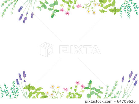 Herb frame - Stock Illustration [64709626] - PIXTA