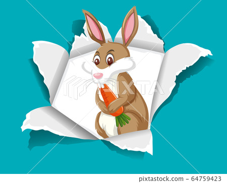 Background template design with wild rabbit eating - Stock Illustration ...