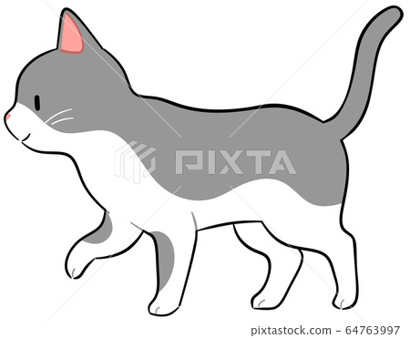 Lateral cat - Stock Illustration [64763997] - PIXTA