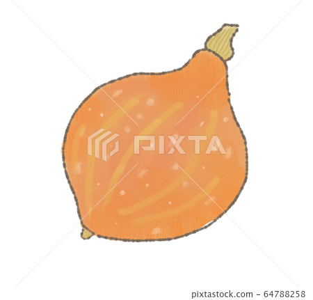 Uchigi am chestnut pumpkin - Stock Illustration [64788258] - PIXTA