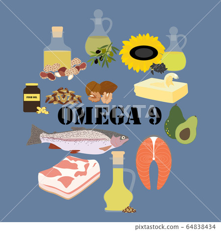 Omega 9 healthy nutrient rich food vector... - Stock Illustration ...
