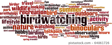 Birdwatching word cloud - Stock Illustration [64861726] - PIXTA