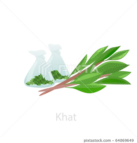 Bundles of khat leaves with raw materials in...-插圖素材 [64869649] - PIXTA圖庫