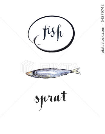 Sprat silver fish-插圖素材 [64879748] - PIXTA圖庫