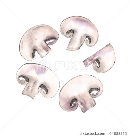 Hand drawn illustration of button mushrooms - Stock Illustration ...