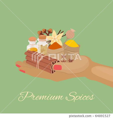 Premium spices in hand, cartoon spicy banner... - Stock Illustration ...