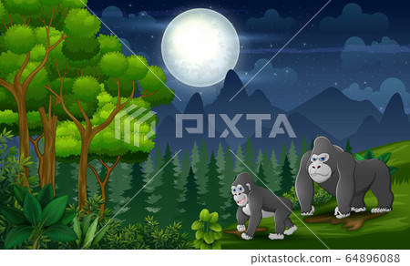 gorilla, night, cartoon - Stock Illustration [64896088] - PIXTA
