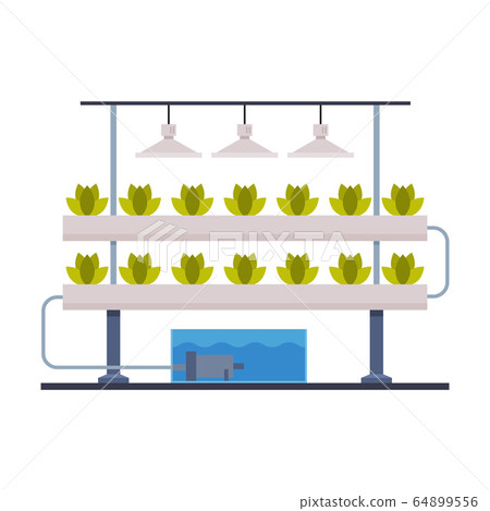 Hydroponics and Aeroponics Gardening System,... - Stock Illustration ...