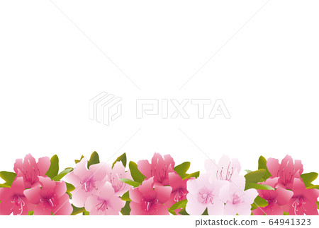 Azalea frame in full bloom - Stock Illustration [64941323] - PIXTA