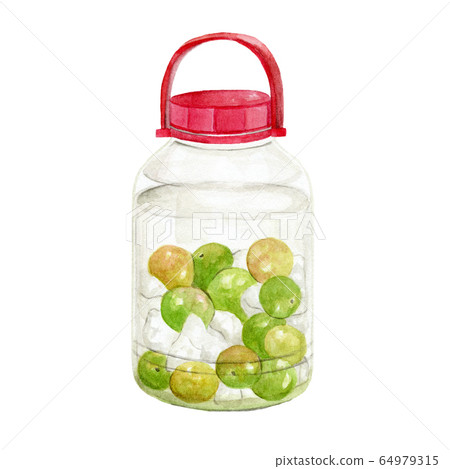 Umeshu bottle watercolor illustration - Stock Illustration [64979315 ...