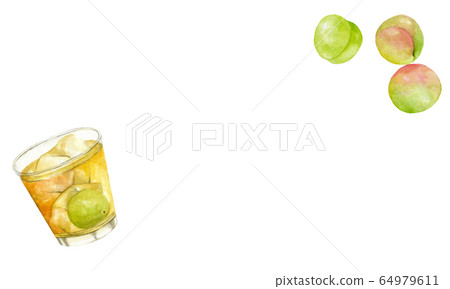 Umeshu and plum watercolor illustration - Stock Illustration [64979611 ...