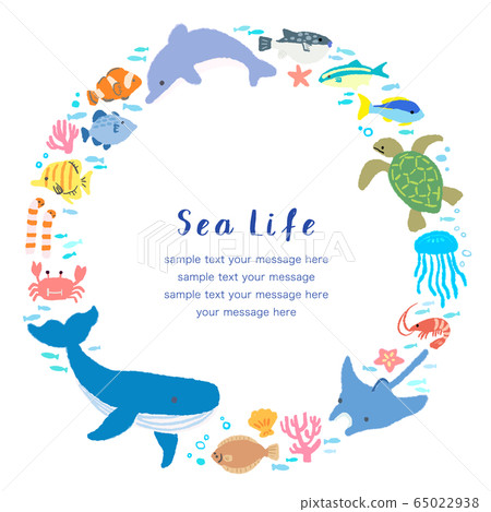 Sea creatures_frame - Stock Illustration [65022938] - PIXTA
