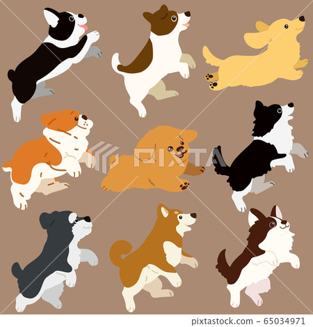 Various dog jump sets without main line - Stock Illustration [65034971 ...