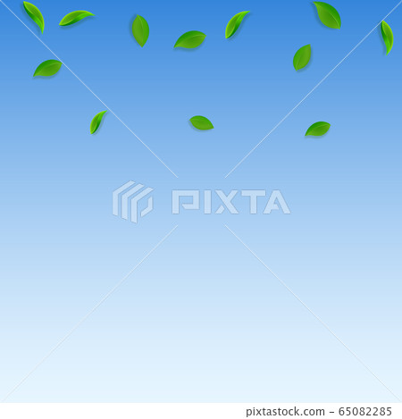 Falling green leaves. Fresh tea random leaves flyi - Stock Illustration ...