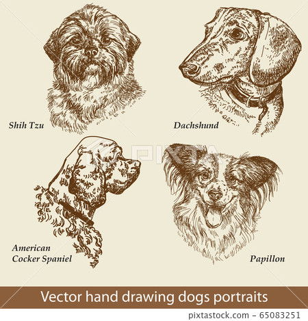 Set of hand drawing dogs - Stock Illustration [65083251] - PIXTA