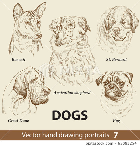Set of hand drawing dogs 7 - Stock Illustration [65083254] - PIXTA
