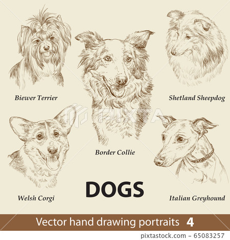 Set of hand drawing dogs 4-插圖素材 [65083257] - PIXTA圖庫