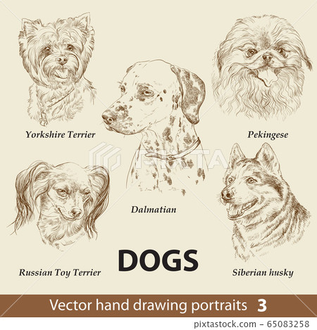 Set of hand drawing dogs 3 - Stock Illustration [65083258] - PIXTA