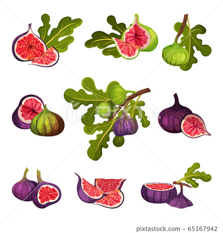 Fig Fruits Images Clipart