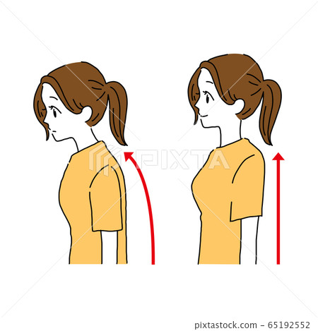 Posture stoop female - Stock Illustration [65192552] - PIXTA