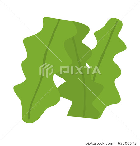 Simple vector illustration of kelp - Stock Illustration [65200572] - PIXTA