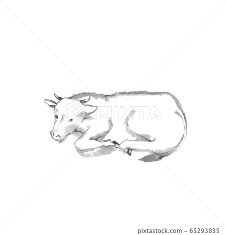 Lying cow, line drawing, material - Stock Illustration [65293835] - PIXTA