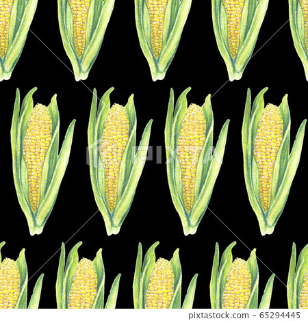 Seamless Pattern of corn cobs with leaves on... - Stock Illustration ...