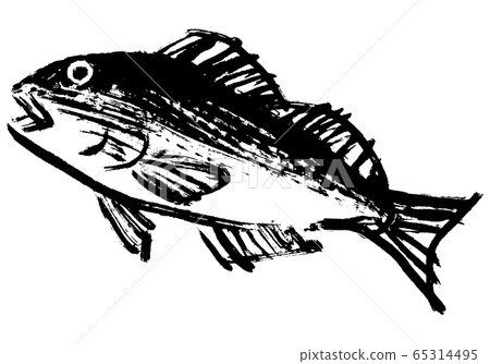 Isaki watercolor - Stock Illustration [65314495] - PIXTA