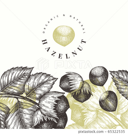 Hand drawn sketch hazelnut design template. - Stock Illustration ...