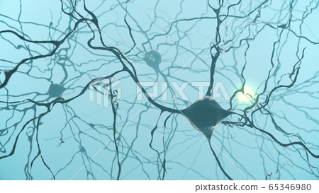 Neuron cluster signal transfer inside human brain - Stock Illustration ...