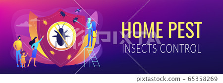 Home pest insects control concept banner header - Stock Illustration ...