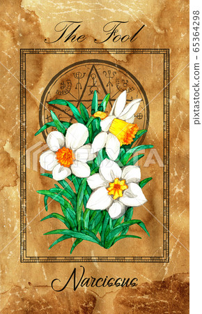 The Fool. Major Arcana tarot card with... - Stock Illustration ...