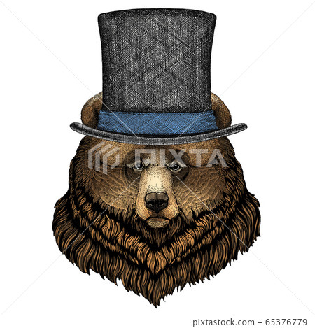 Grizzly bear. Portrait of wild animal. Cylinder... - Stock Illustration ...