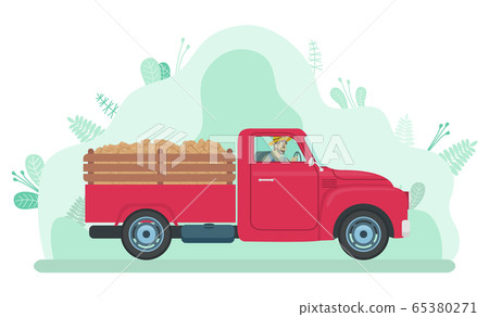 Man Driving Lorry with Potato Harvest, Delivery - Stock Illustration ...