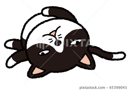Guutara Hachiware Cat - Stock Illustration [65399043] - PIXTA