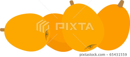 Loquat loquat loquat fruit - Stock Illustration [65431559] - PIXTA