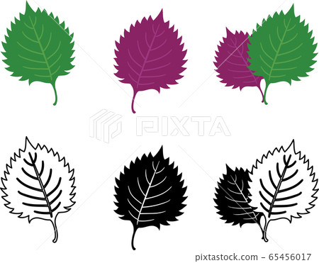 Perilla cute icon - Stock Illustration [65456017] - PIXTA