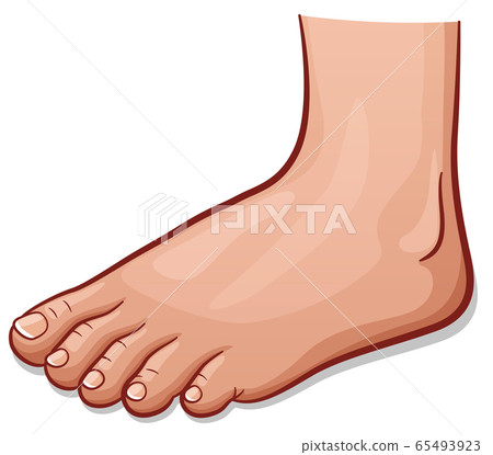 Vector human foot cartoon isolated - Stock Illustration [65493923] - PIXTA