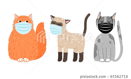 Cats in protective masks - Stock Illustration [65562718] - PIXTA