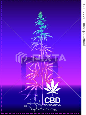 Hemp, Cannabis plant. Template, poster, card - Stock Illustration ...