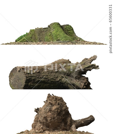 Stump dead tree isolated on white 3d illustration - Stock Illustration ...