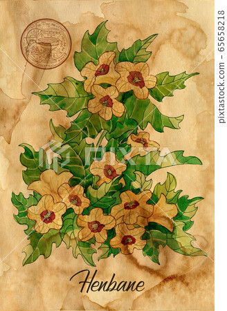 Henbane flower with magic seal on old paper... - Stock Illustration ...
