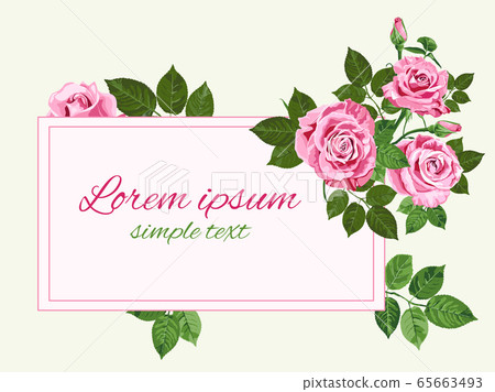 Pink roses card on the light green - Stock Illustration [65663493] - PIXTA