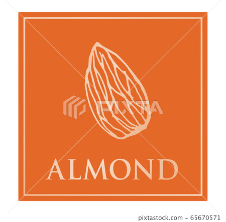 Almond label - Stock Illustration [65670571] - PIXTA