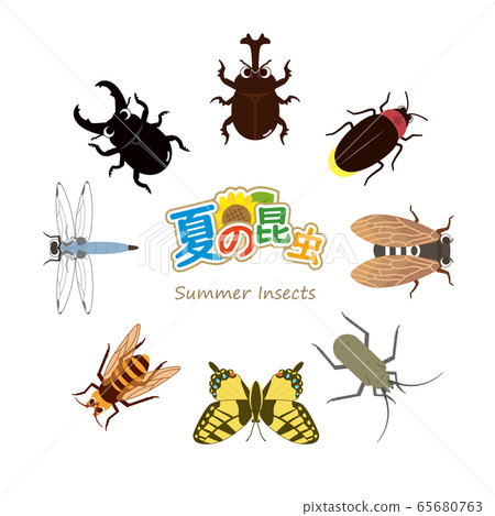 Cute summer insects set - Stock Illustration [65680763] - PIXTA