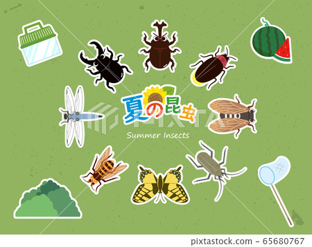 Cute summer insect set white edge - Stock Illustration [65680767] - PIXTA