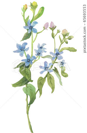Blue star watercolor illustration hand drawing... - Stock Illustration ...