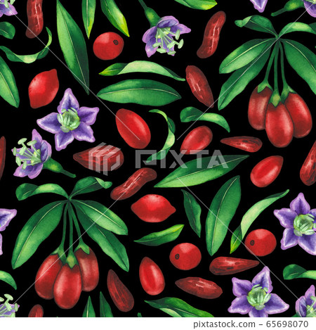 Seamless pattern of watercolor goji berries,... - Stock Illustration ...