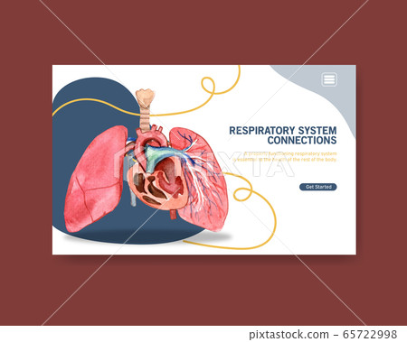 respiratory system design for website template - Stock Illustration ...