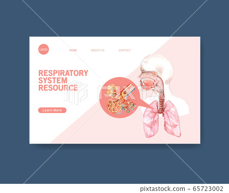 respiratory system design for website template - Stock Illustration ...
